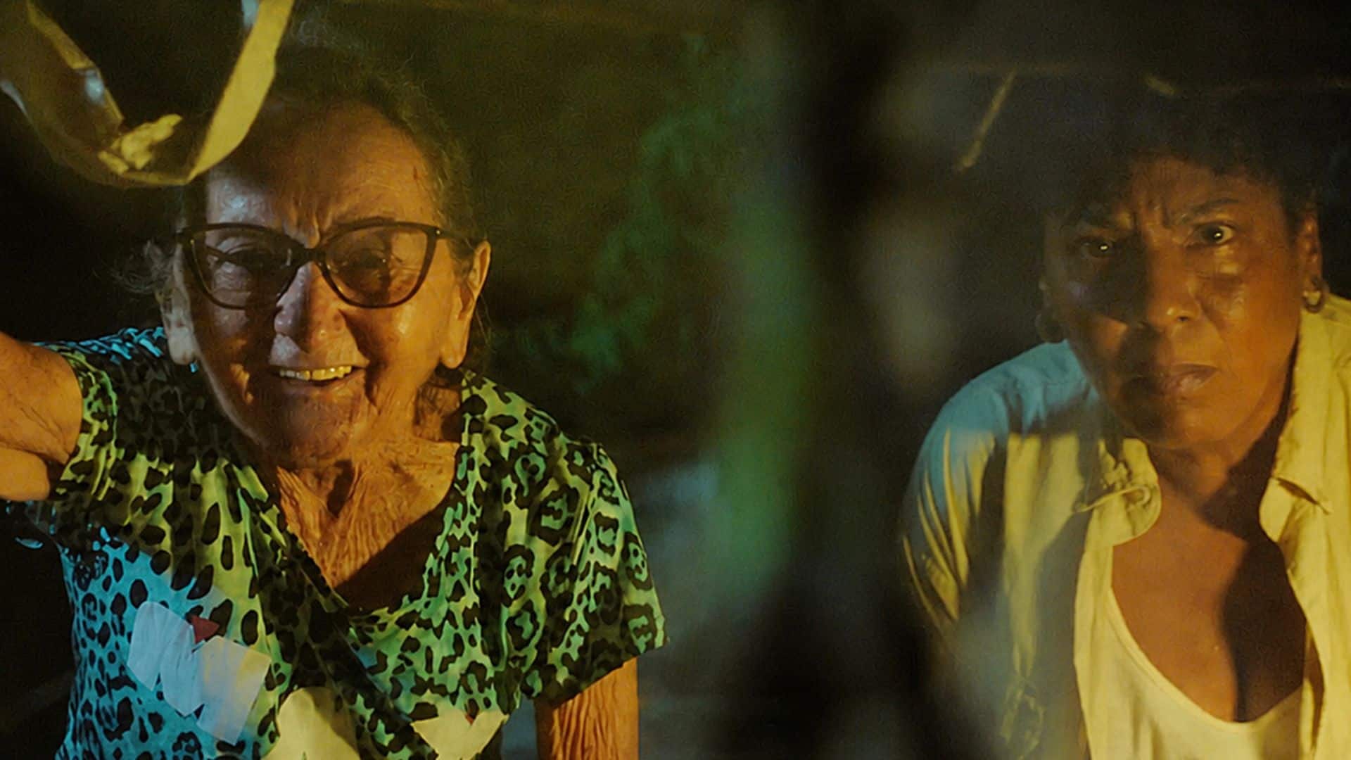 Yellow Cake abre Festival Olhar de Cinema com elenco de destaque em ...